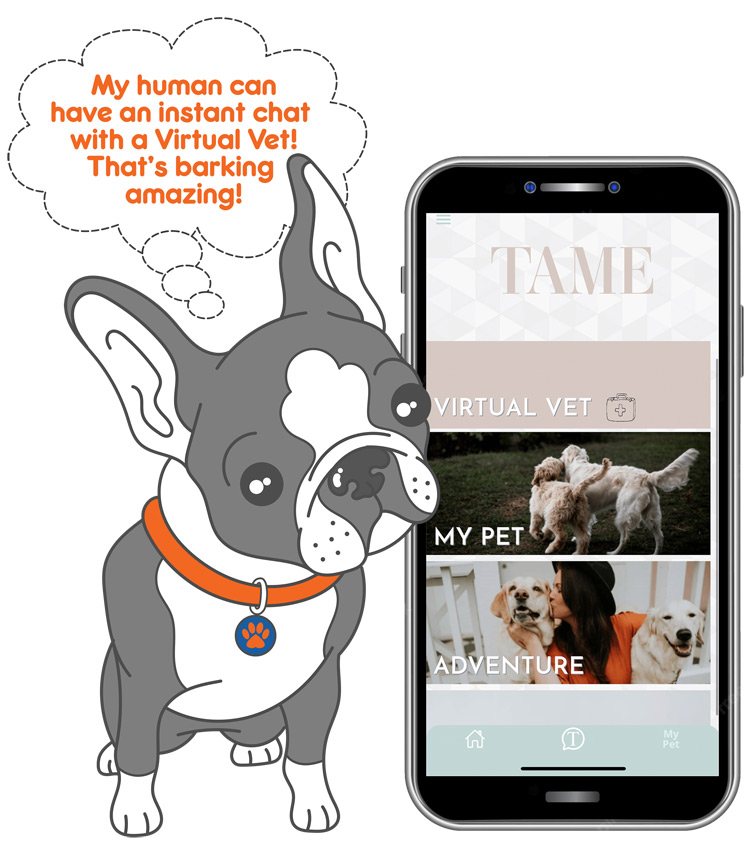 Plans ⋆ PawPaw Pet Insurance - trusted for over a decade | pawpawpets.co.za